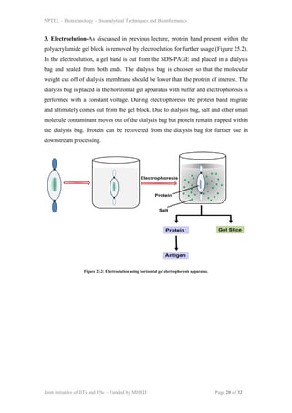 Electrophoresis technique | PDF