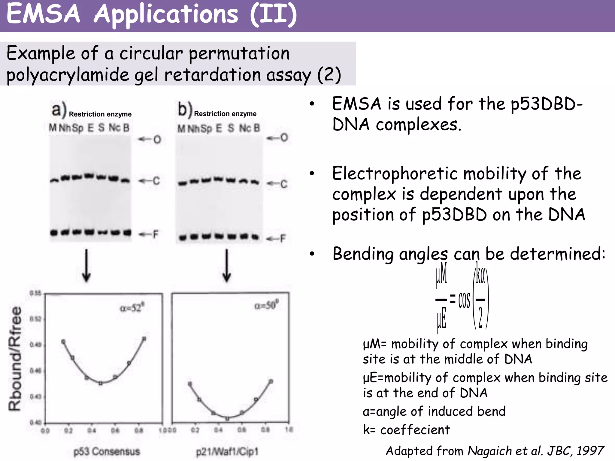 ''Electrophoretic Mobility Shift Assay'' by KATE, Wisdom Deebeke | PPTX