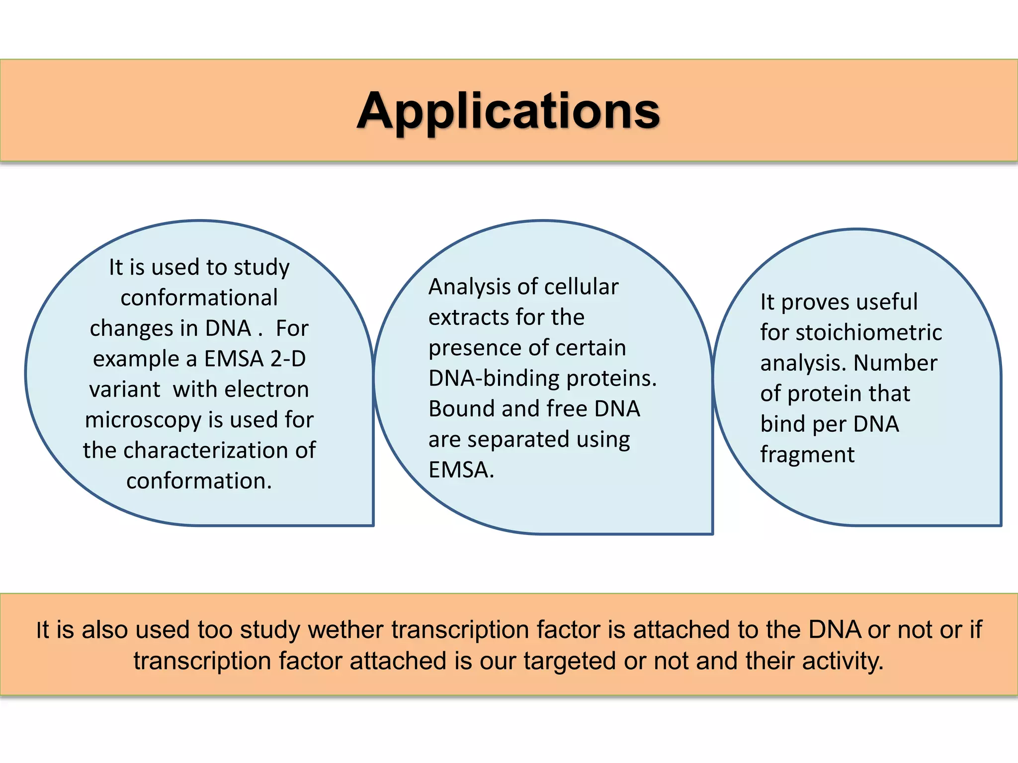 Electrophoretic mobility shift assay | PPTX