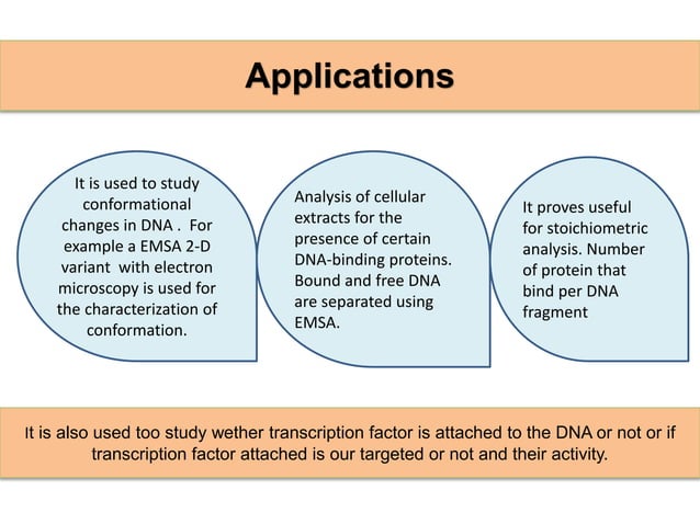 Electrophoretic mobility shift assay | PPTX | Chemistry | Science