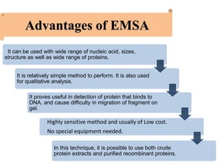 Electrophoretic mobility shift assay | PPTX