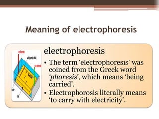 Electrophoretic techniques for life science researchers | PPTX