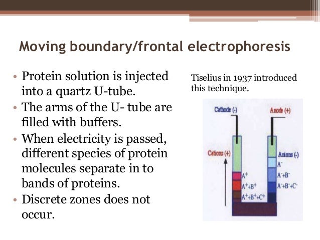 Electrophoretic techniques for life science researchers