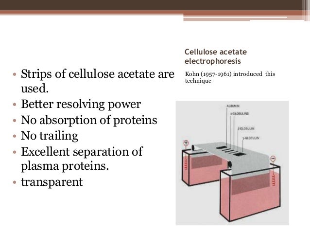 Electrophoretic techniques for life science researchers