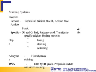 Electrophorisis Principle, Classification, and types | PPTX