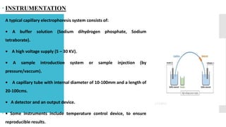 electrophorosis (1).pptx
