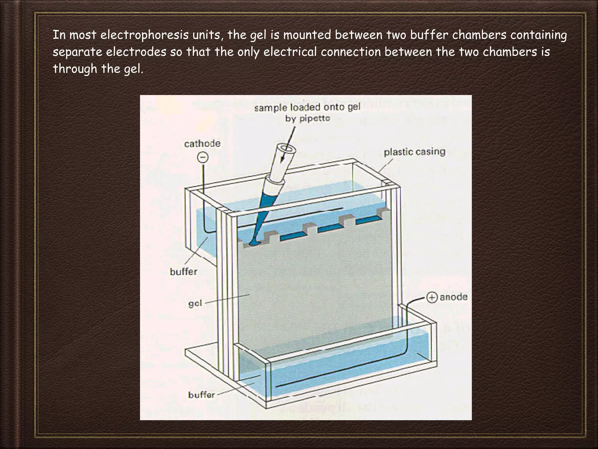 Electrophorsis PRINCIPLE ,INSTRUMENTATION & FACTOR AFFECTING WITH ...