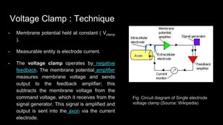 Electrophysiology | PPTX