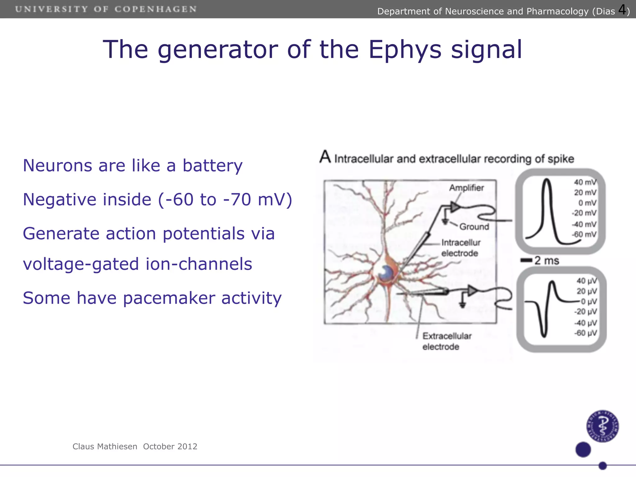 Electrophysiology in vivo | PDF