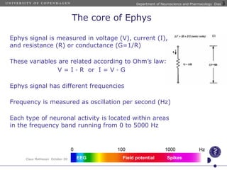 Electrophysiology in vivo | PPT
