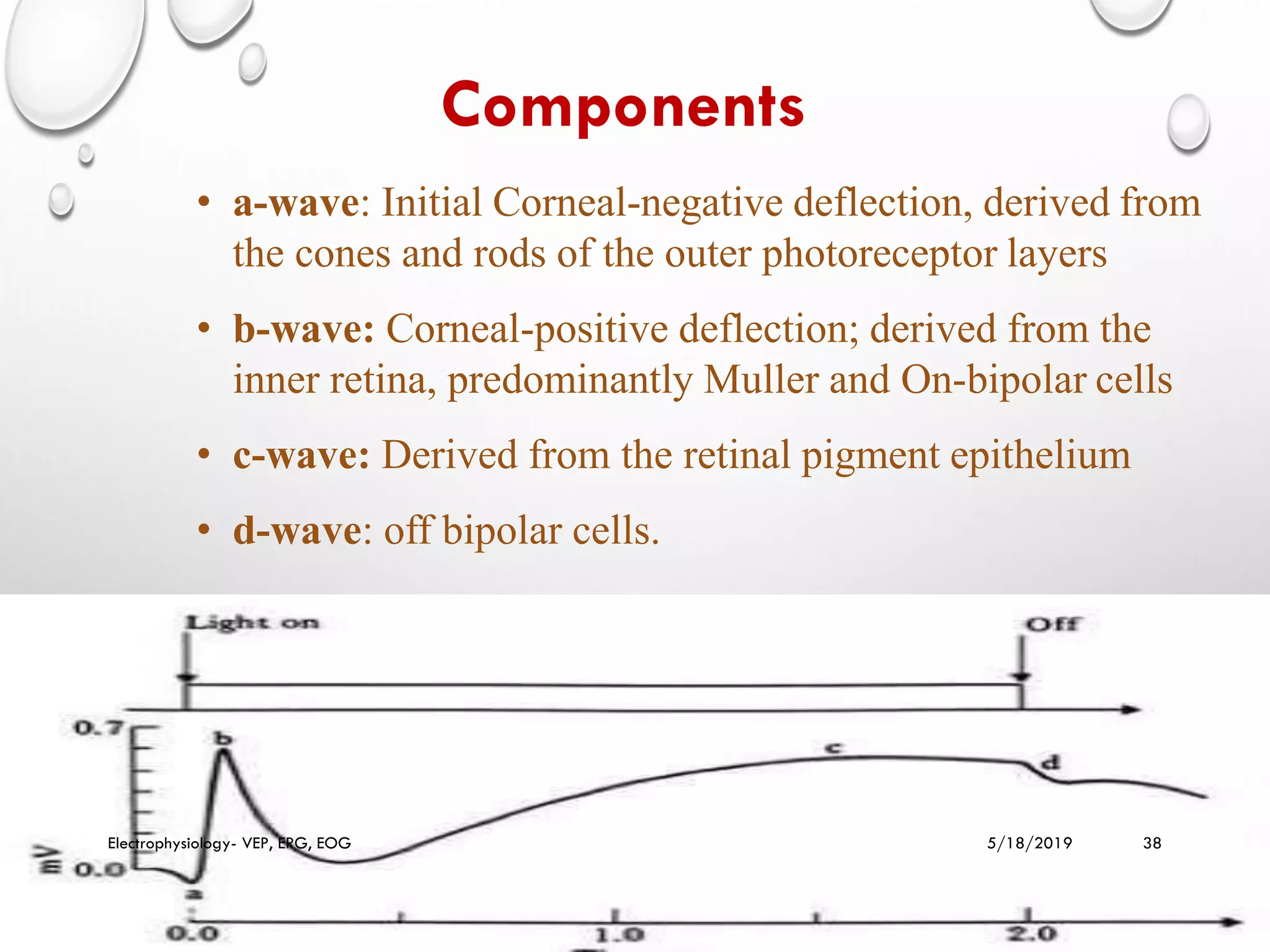 Electrophysiology VEP, ERG, EOG | PDF