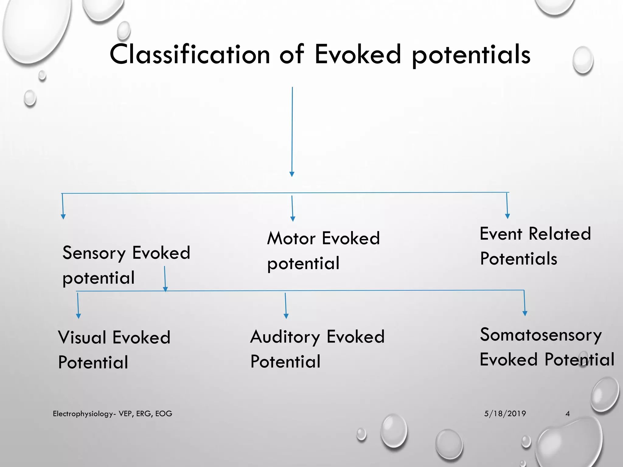 Electrophysiology VEP, ERG, EOG | PDF