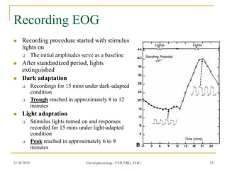 Electrophysiology VEP, ERG, EOG | PDF