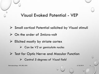 Electrophysiology VEP, ERG, EOG | PDF