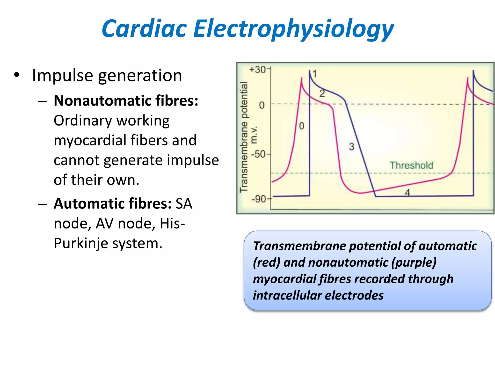 Electrophysiology of cardiac muscle | PPTX
