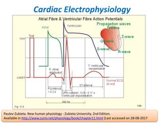 Electrophysiology of cardiac muscle | PPTX