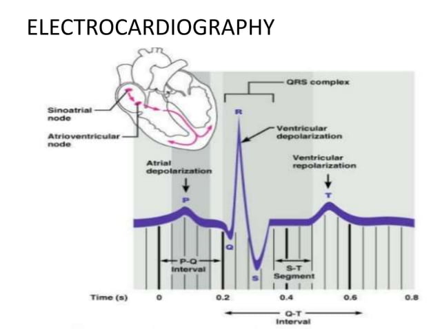 Electrophysiology of heart | PPT