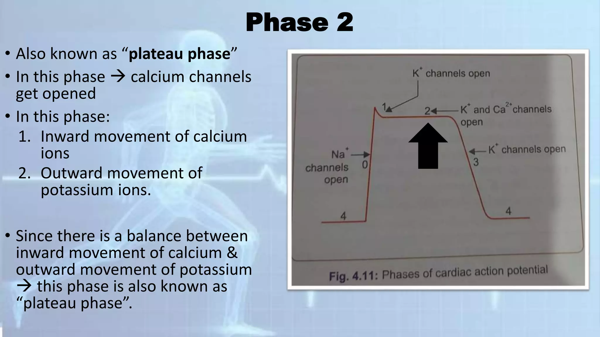 ELECTROPHYSIOLOGY OF HEART.pptx
