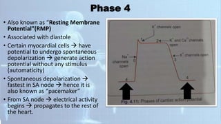 ELECTROPHYSIOLOGY OF HEART.pptx