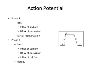 Electrophysiology_of_Heart.pptx
