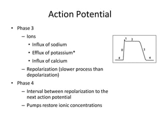 Electrophysiology_of_Heart.pptx