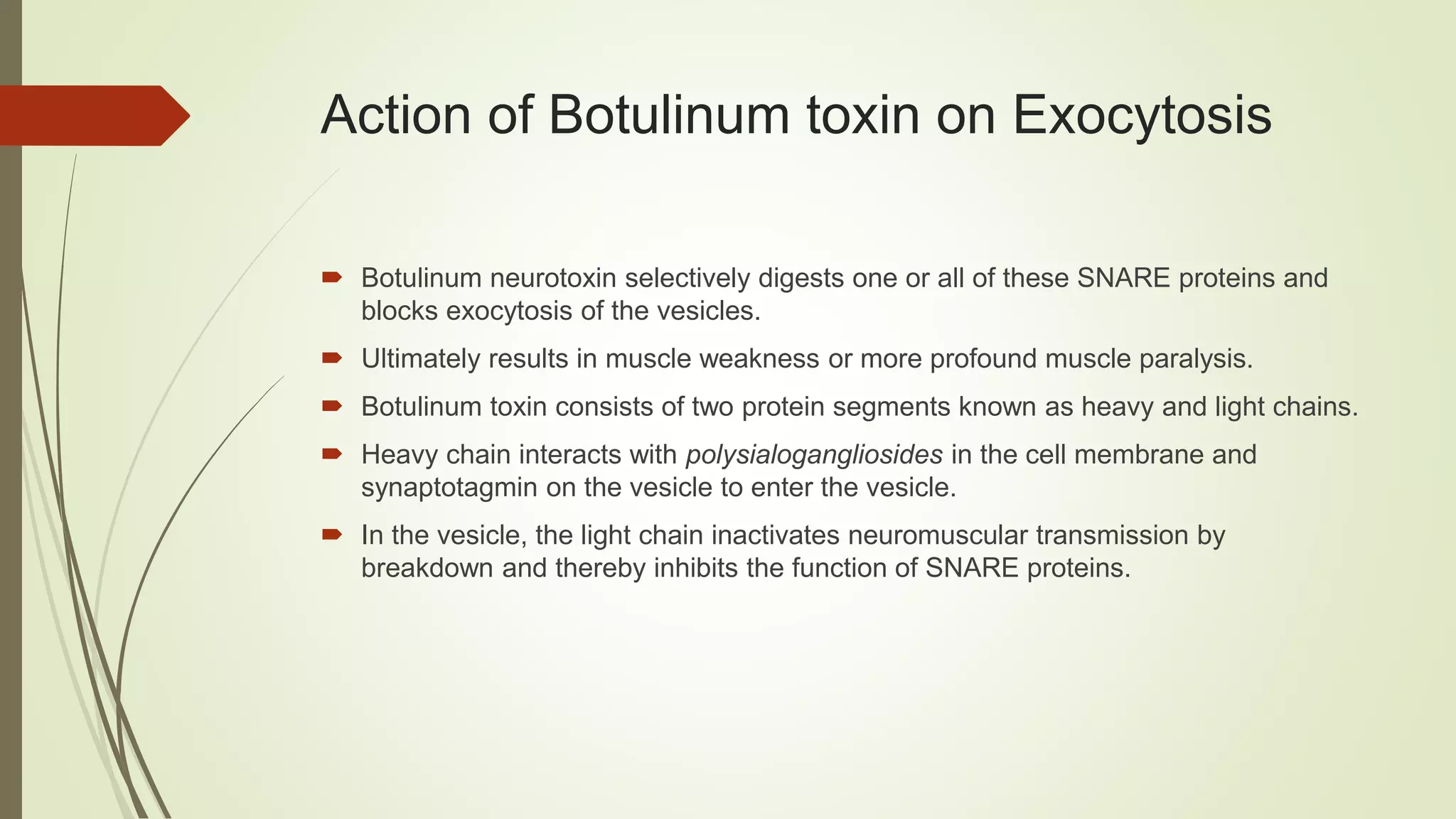 Electrophysiology of Neuromuscular Transmission | PPTX