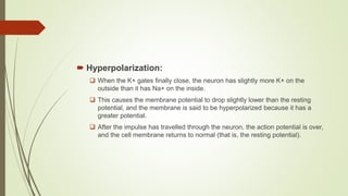 Electrophysiology of Neuromuscular Transmission | PPT
