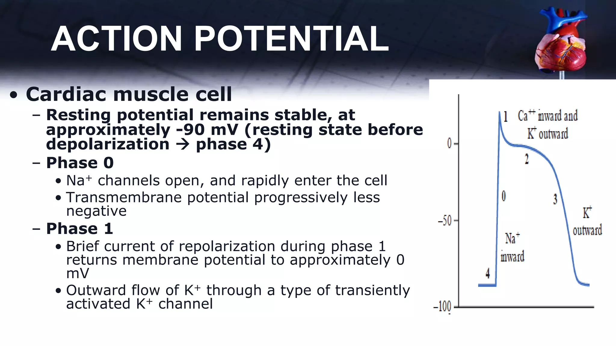 Electrophysiology of The Heart(1) (1)..pdf