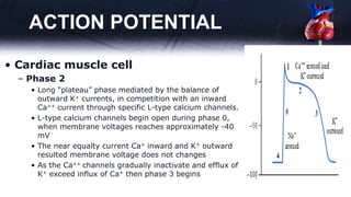 Electrophysiology of The Heart(1) (1)..pdf