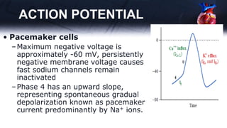 Electrophysiology of The Heart(1) (1)..pdf