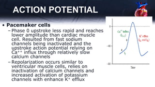 Electrophysiology of The Heart(1) (1)..pdf