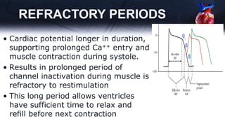 Electrophysiology of The Heart(1) (1)..pdf