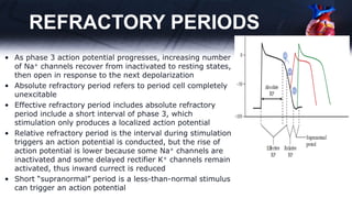 Electrophysiology of The Heart(1) (1)..pdf