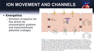 Electrophysiology of The Heart(1) (1)..pdf