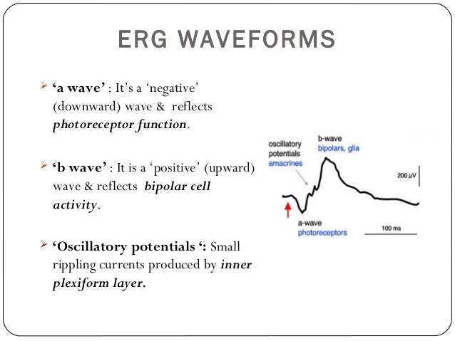 Electrophysiology in Ophthalmology