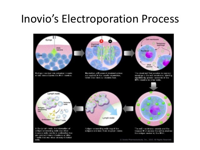 Electroporation