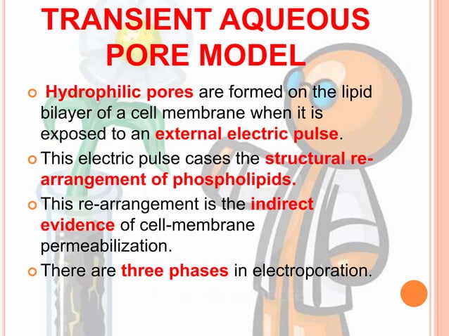 Electroporation | PPTX | Chemistry | Science