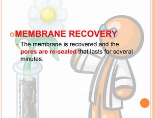 Electroporation | PPTX