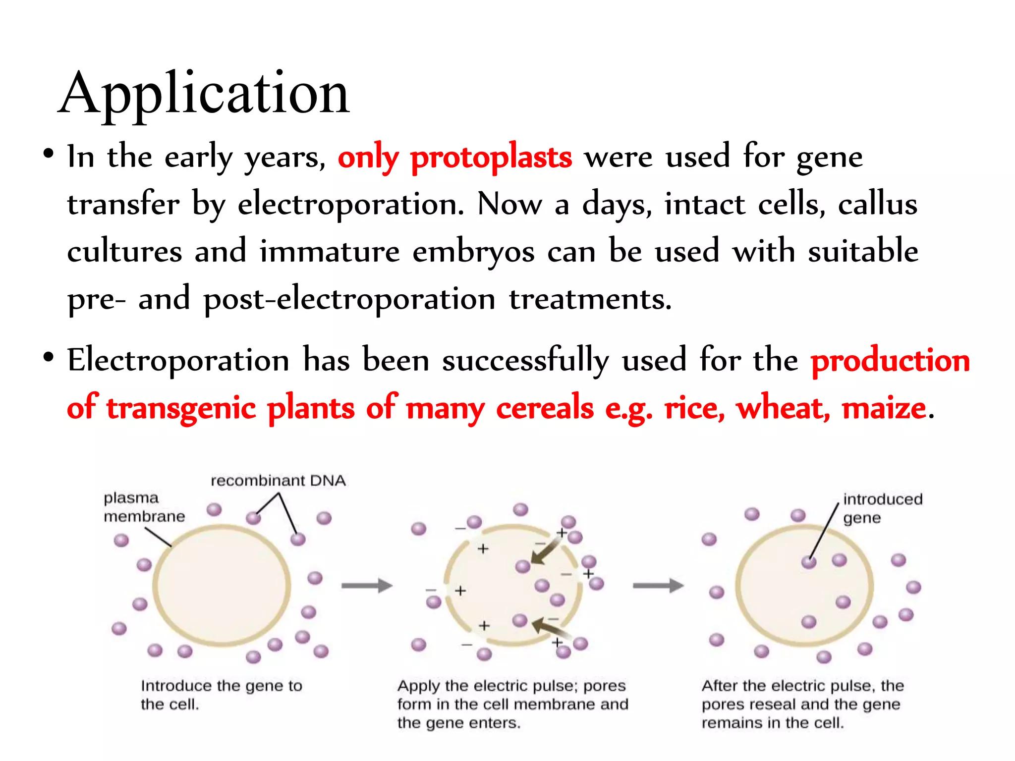 Electroporation | PPTX