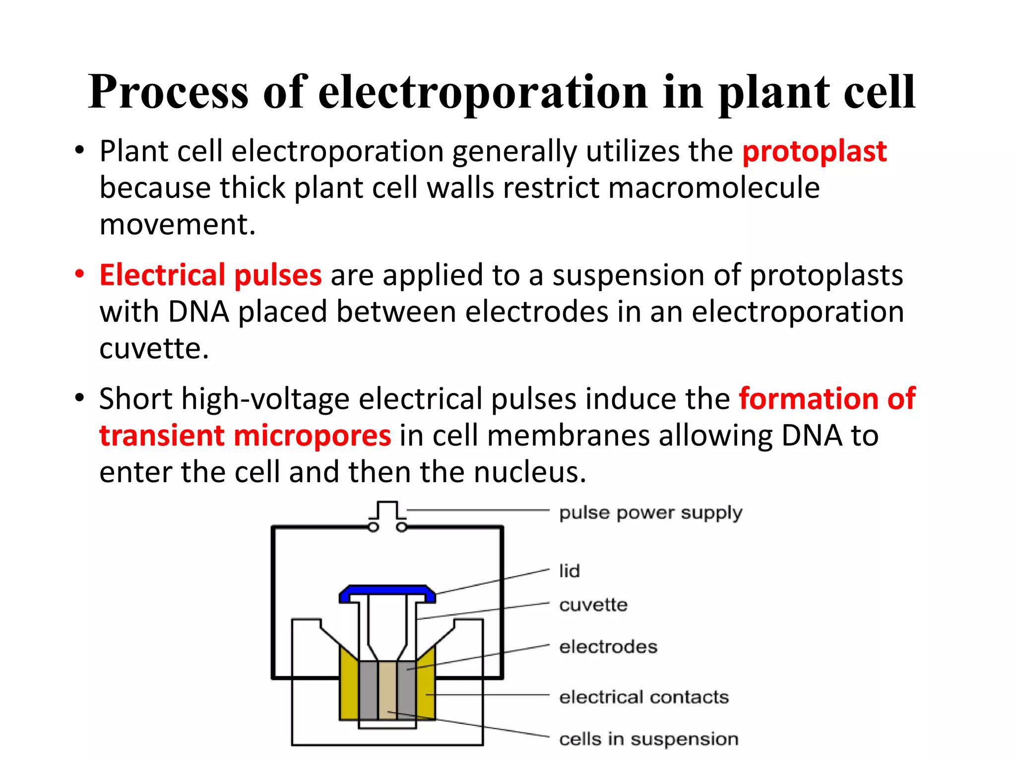 Electroporation | PPTX