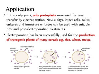 Electroporation | PPTX | Biological Sciences | Science