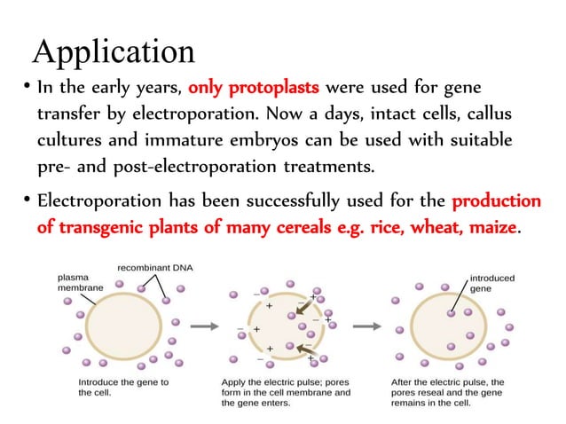 Electroporation | PPTX | Biological Sciences | Science