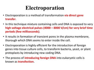 Electroporation | PPTX | Biological Sciences | Science