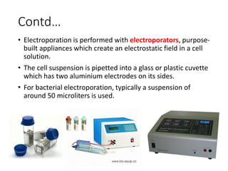 Electroporation | PPTX | Biological Sciences | Science