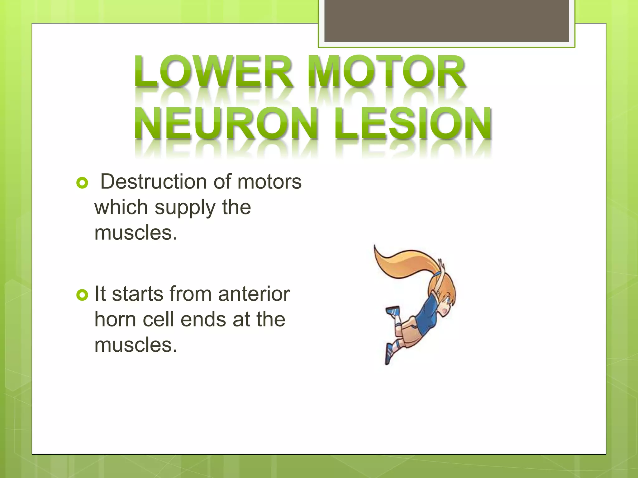 lower motor neuron lesion (LMNL) | PPTX