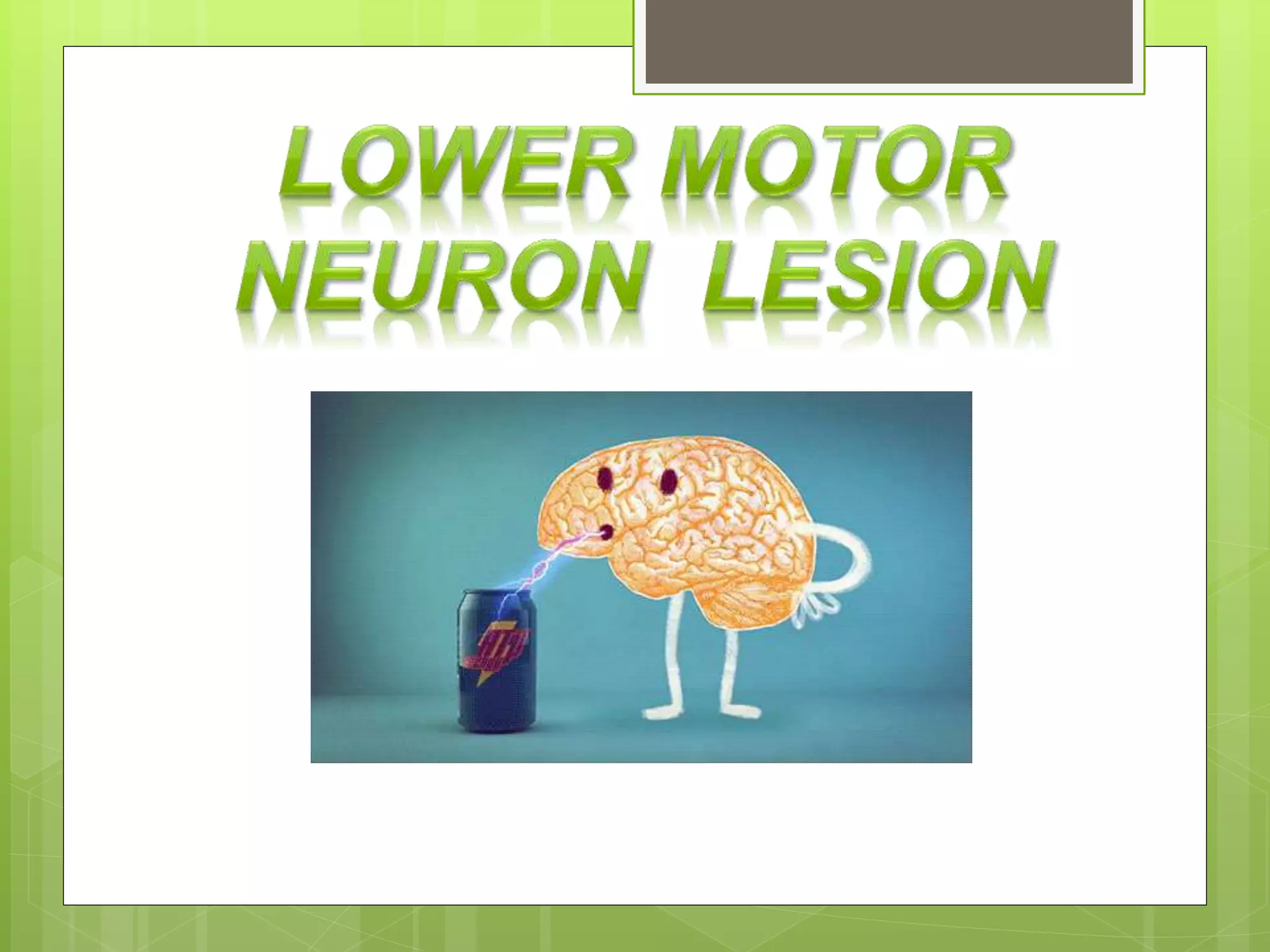 lower motor neuron lesion (LMNL) | PPTX