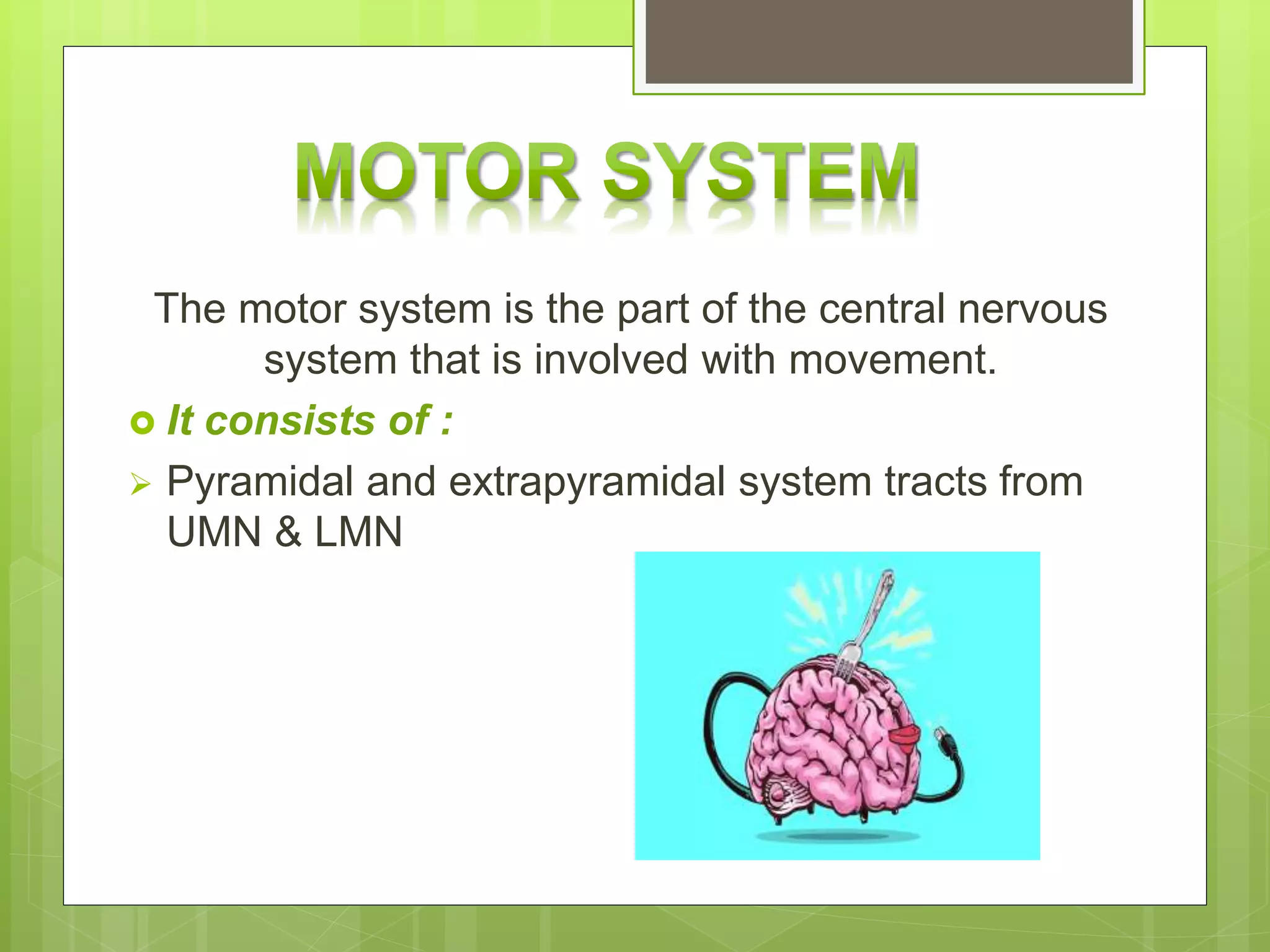 lower motor neuron lesion (LMNL) | PPTX