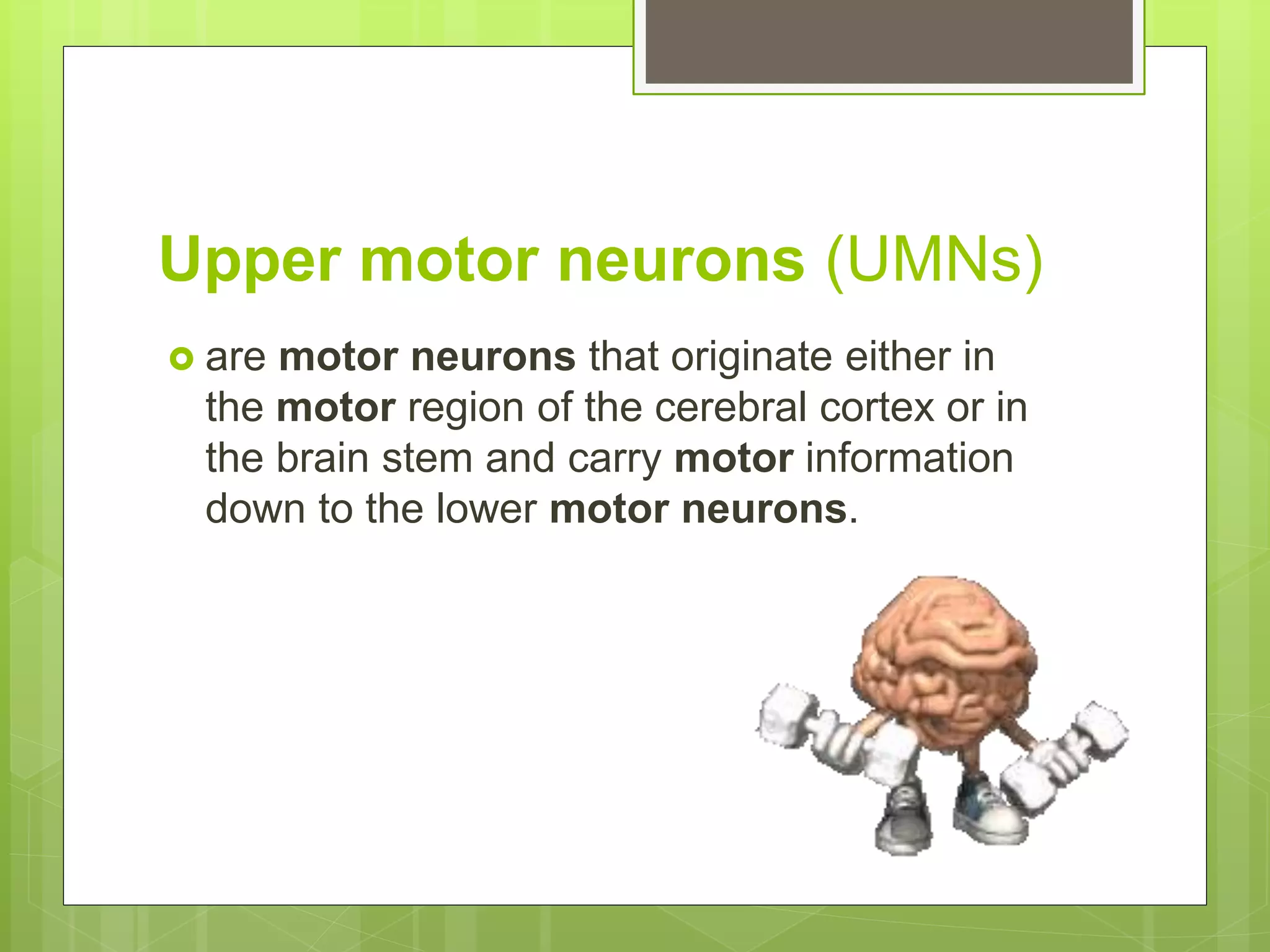 lower motor neuron lesion (LMNL) | PPTX