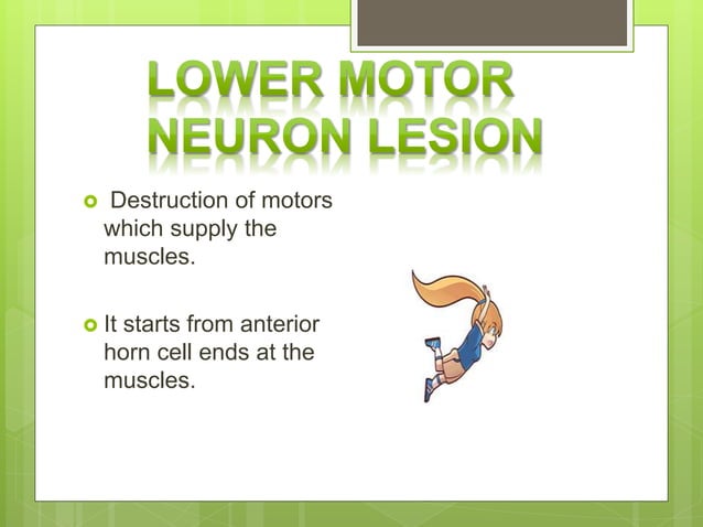 lower motor neuron lesion (LMNL) | PPTX