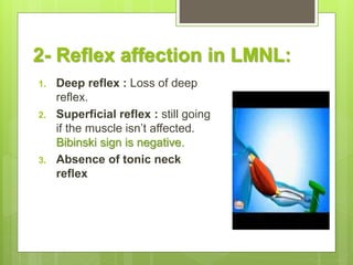 lower motor neuron lesion (LMNL) | PPTX